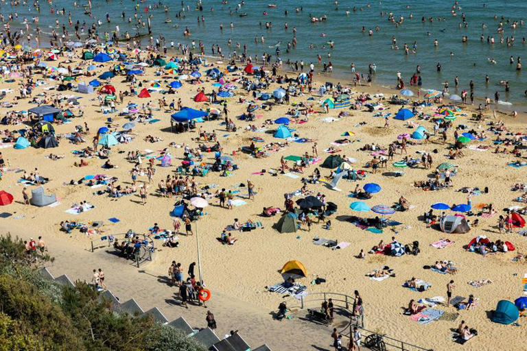 UK to become nation of zombies as heatwave sparks record-breaking ...