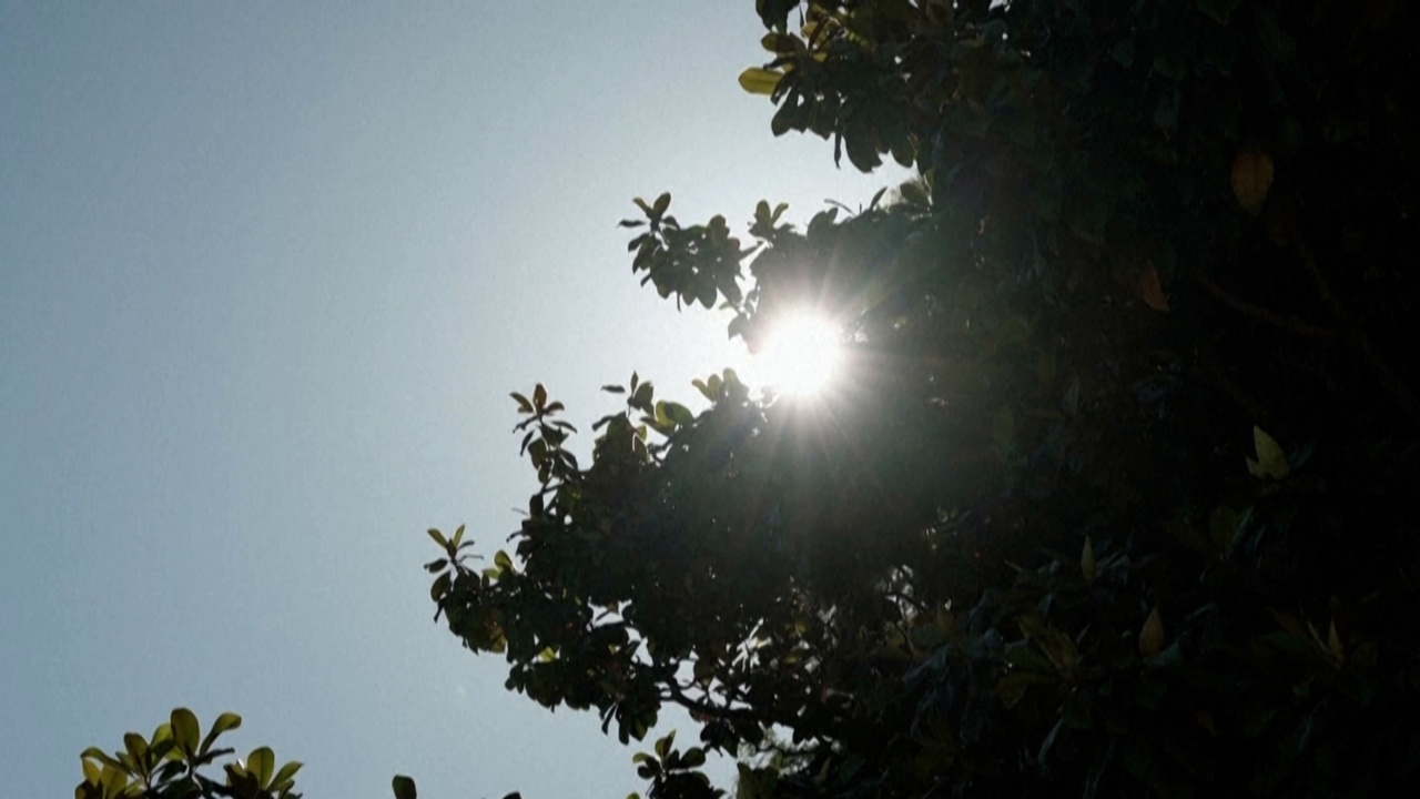 Global heat wave triggers record May temperatures