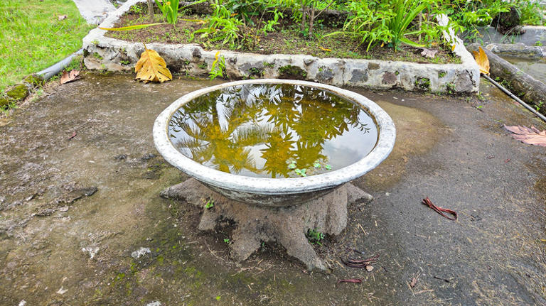 Goodbye traditional bird baths — there's a Hobby Lobby find that can be ...