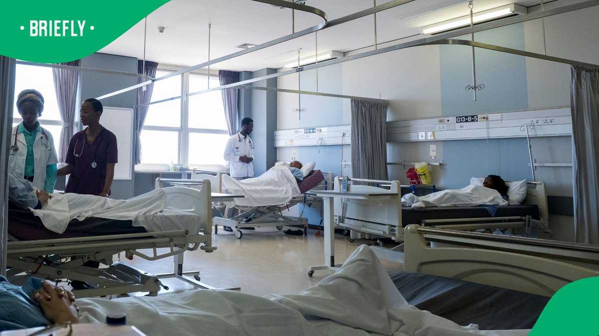 SAHRC says no evidence hospital overcrowding caused by undocumented ...