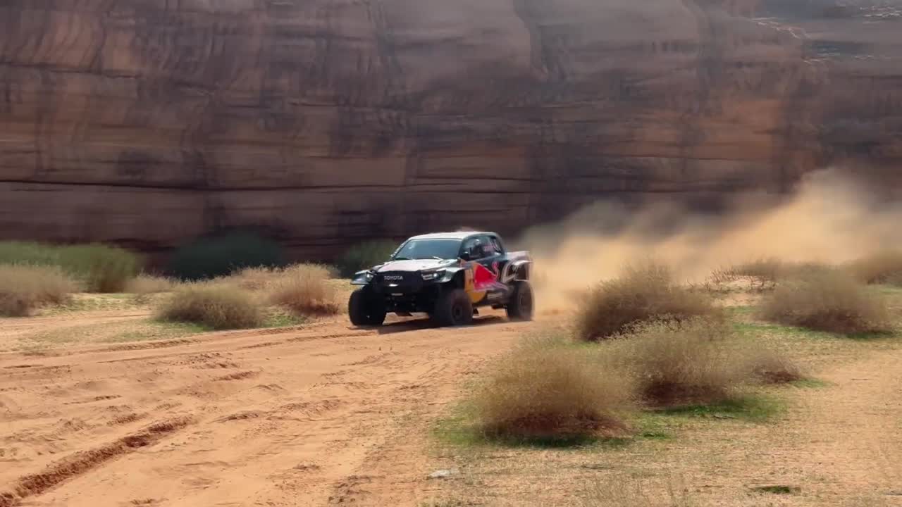 Wild encounters in the Saudi desert