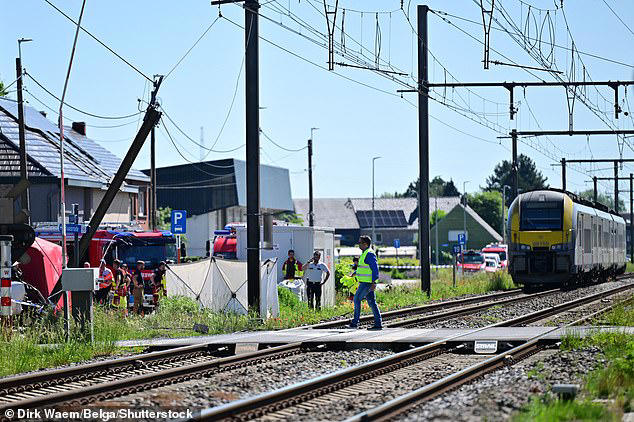 Four dead including two children as 'special needs school' bus is hit ...