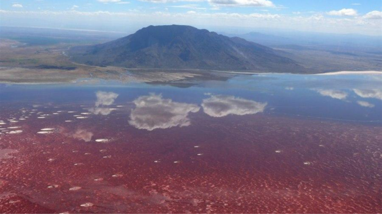The dead lake: This Tanzanian lake can turn dead animals into stone ...