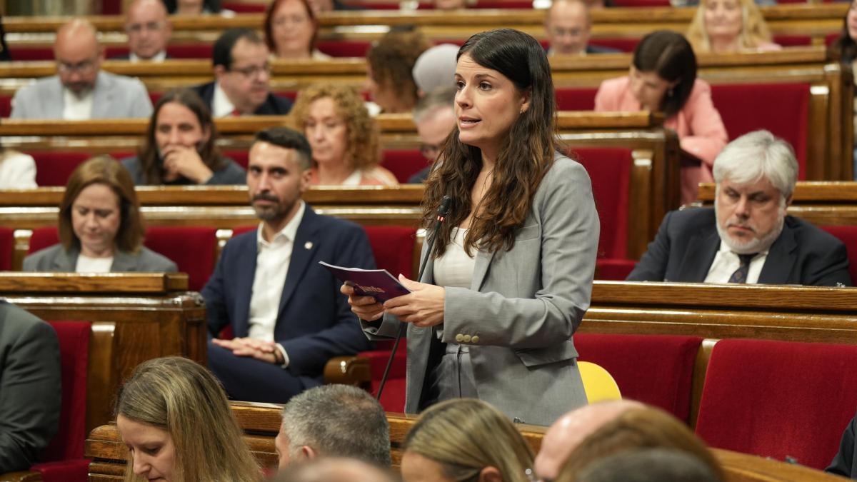 Junts remarca que una moción de censura para echar a Pedro Sánchez no ...