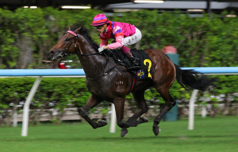 Lyle Hewitson and championship-leading trainer Danny Shum combine at ...
