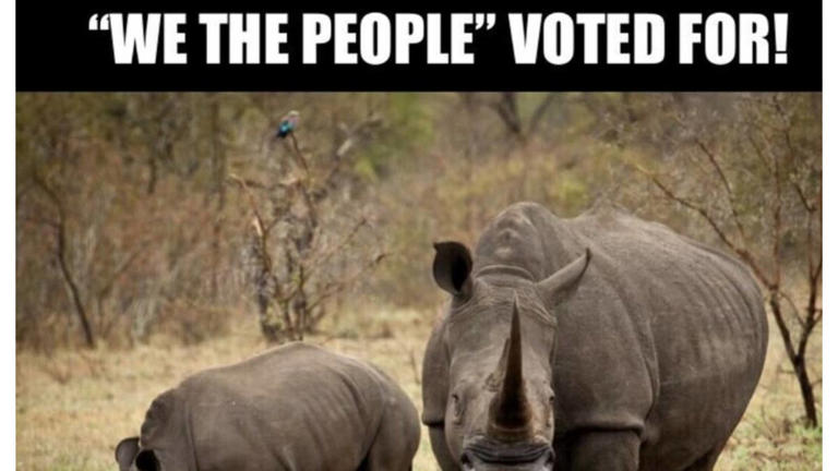 Trump shares meme holding a rifle over a dead RINO
