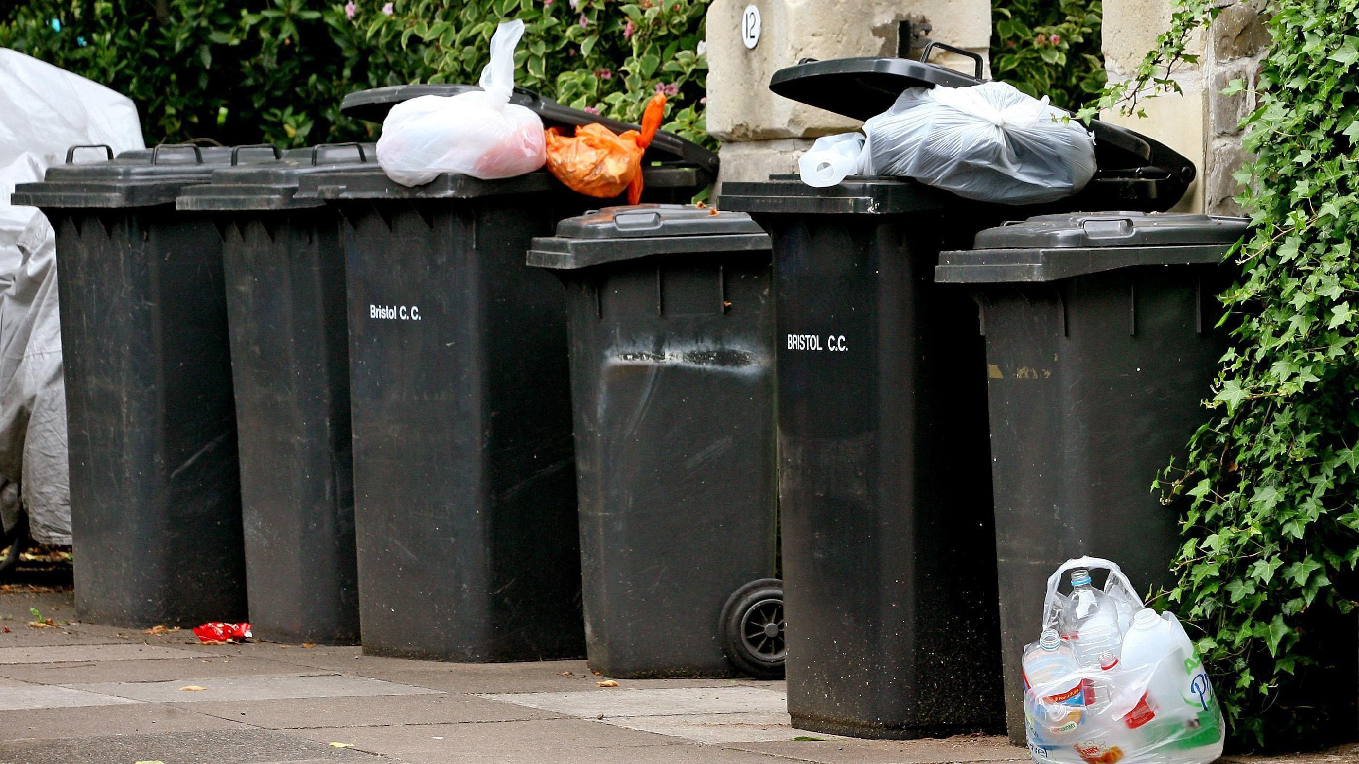 Bin collection changes in 'extreme temperatures'