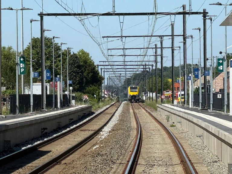 Train collides with school van in Belgium, killing four