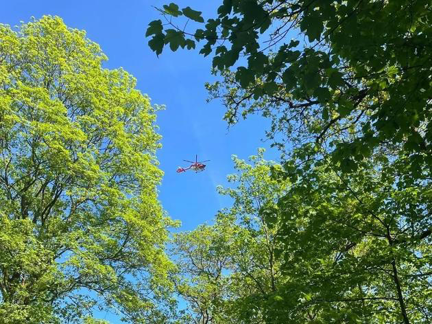 Schwerer Wanderunfall bei Winterberg: 31-Jähriger stürzt 15 Meter in ...