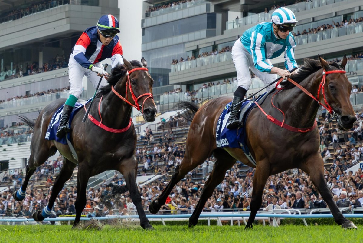 Triple Crown in Hong Kong marks weekend horse racing