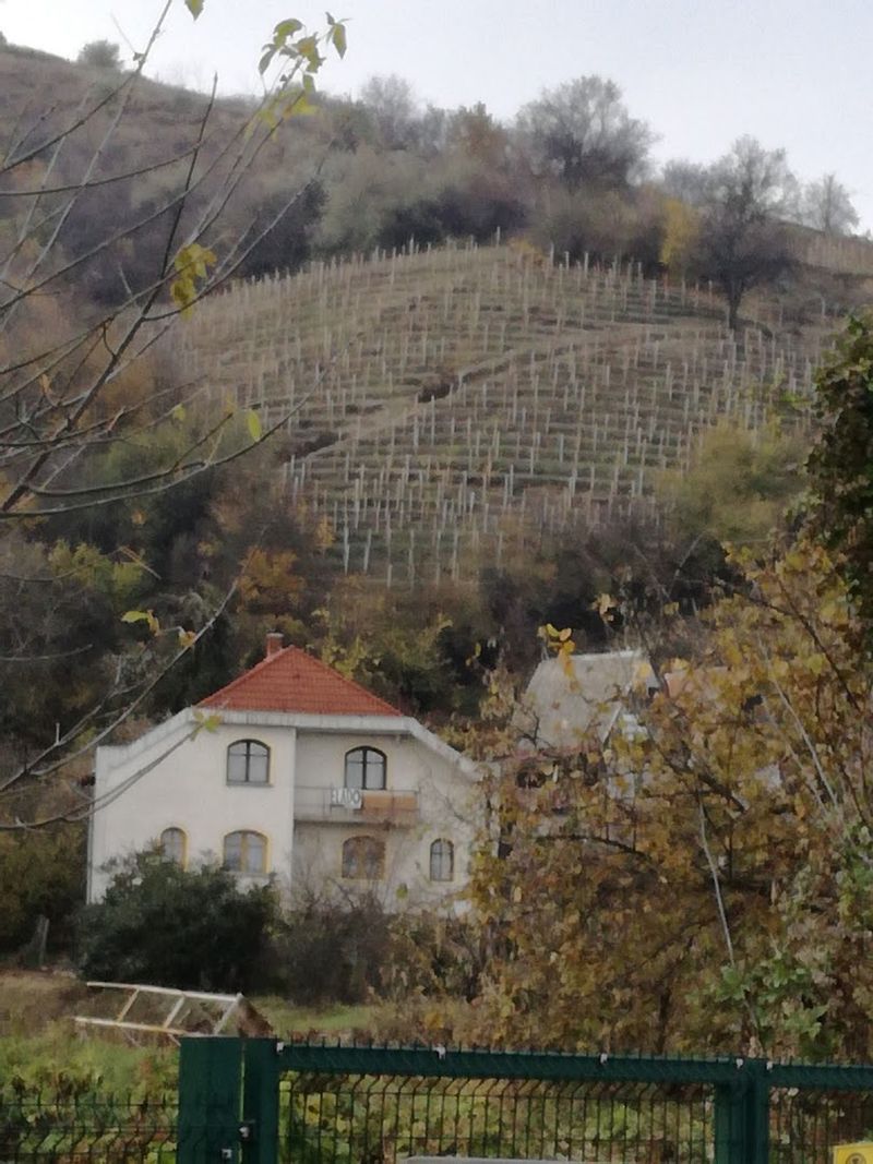 12 hidden wine regions in Eastern Europe most tourists miss