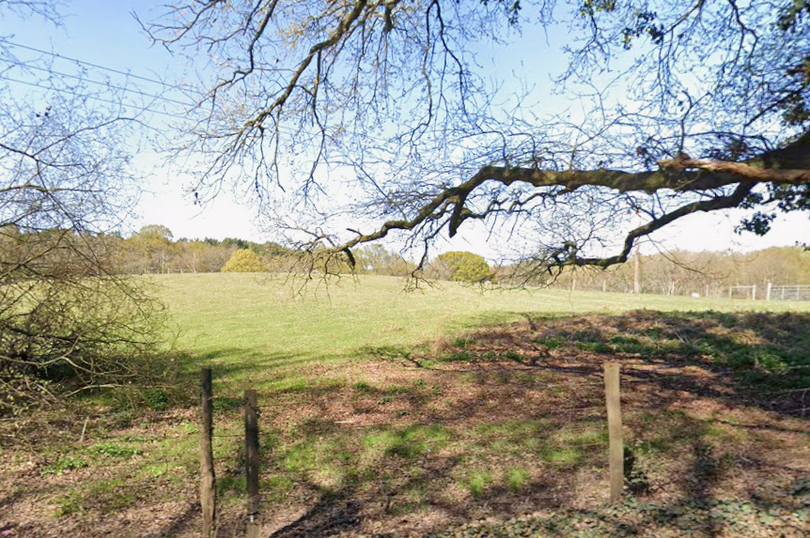 Mysterious Guildford lamb death sparks police investigation