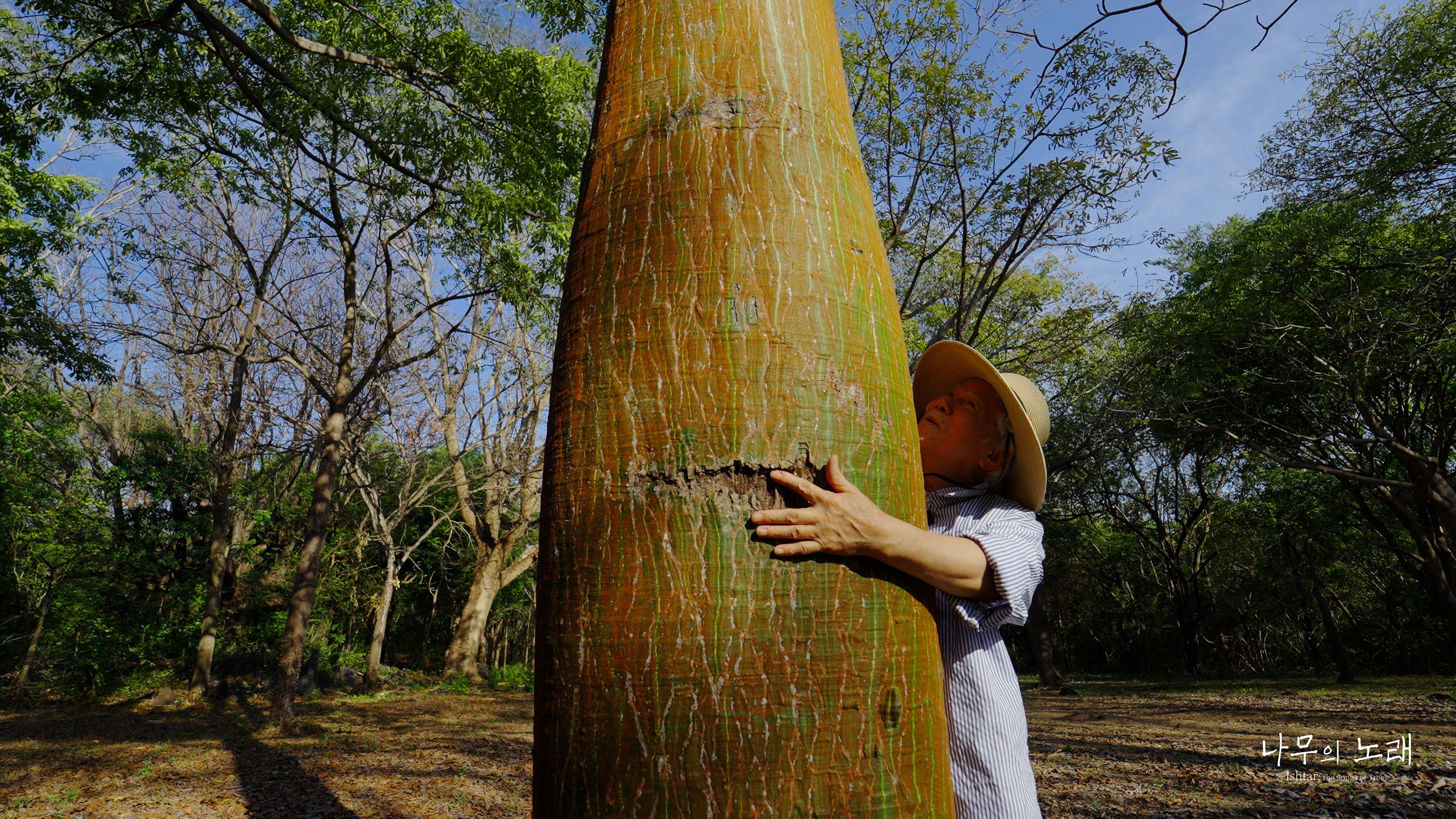 KNN documentary 'The Song of the Tree' wins triple award at New York ...
