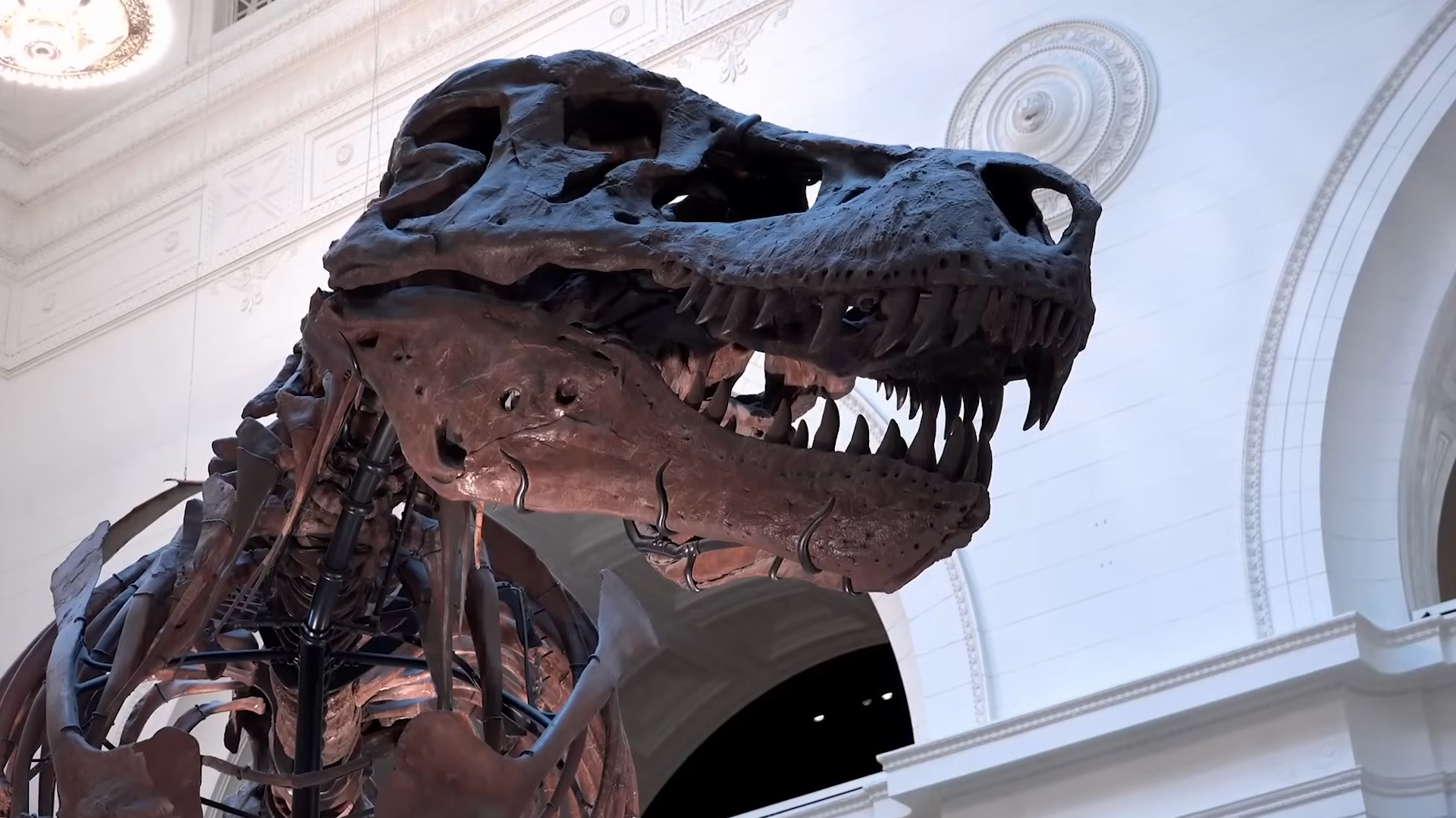 This giant predator could smell death from kilometers away