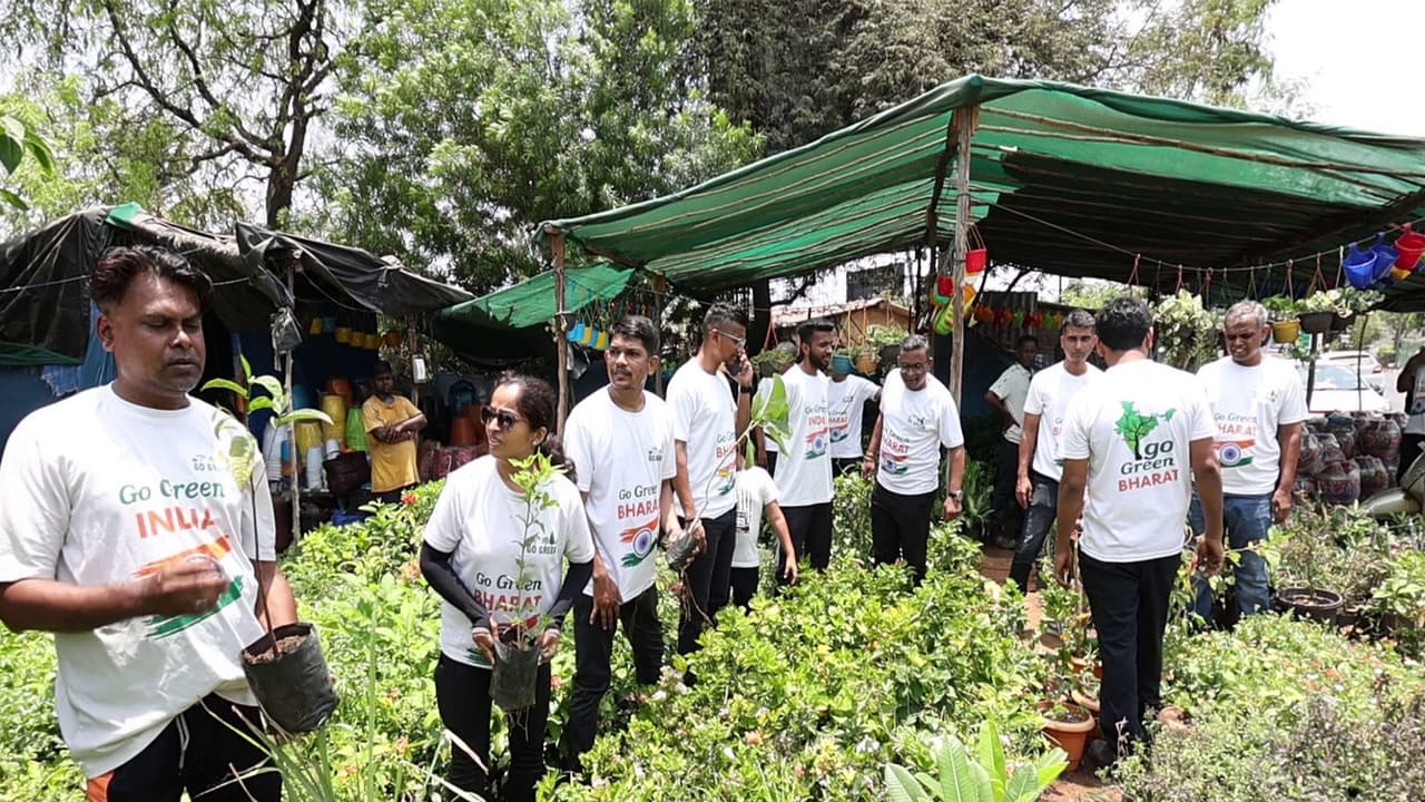 Valsad's 'Go Green' youth plant 3,000 trees on Parnera Hill