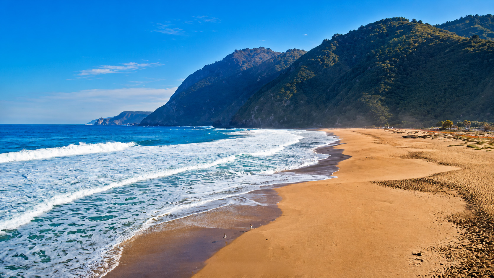 A hidden Chilean beach along the wild Pacific coast