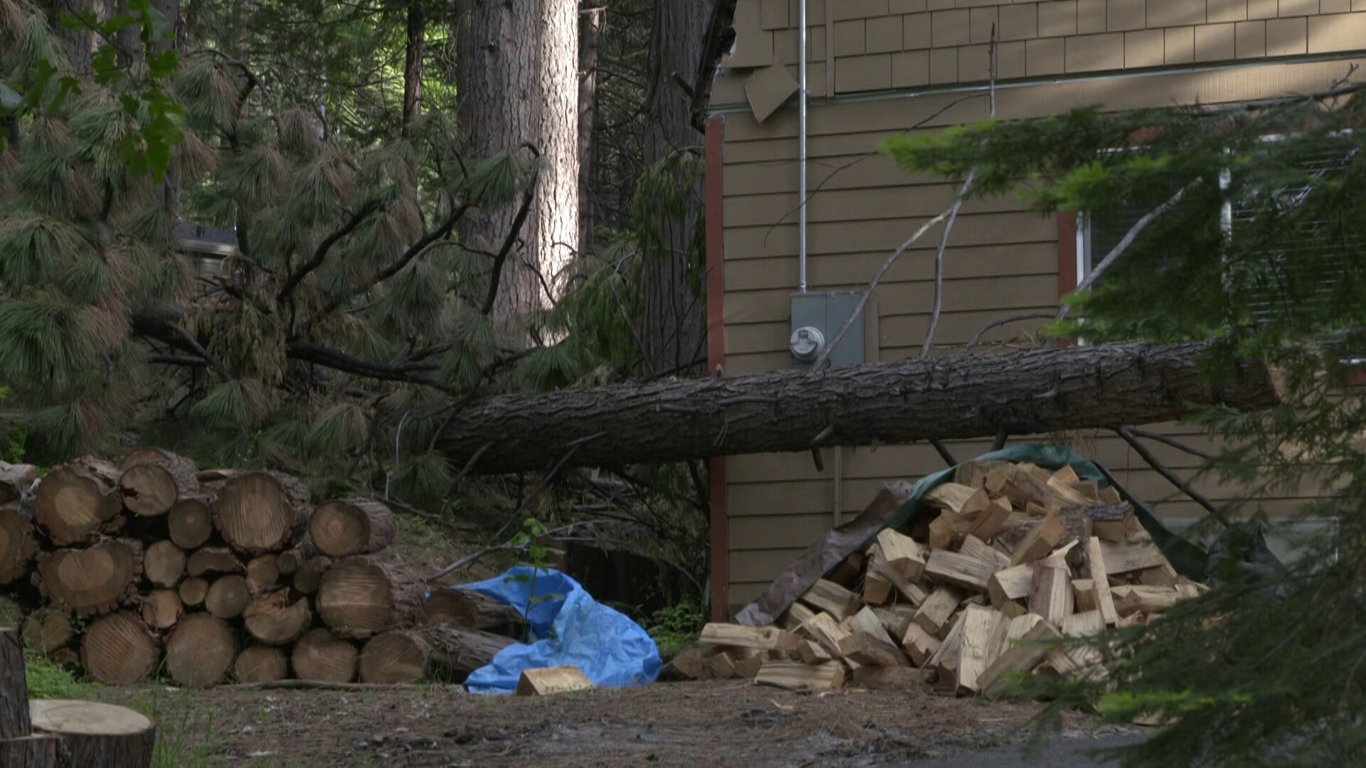 Arnold still recovering from winter storm damage as Calaveras County ...
