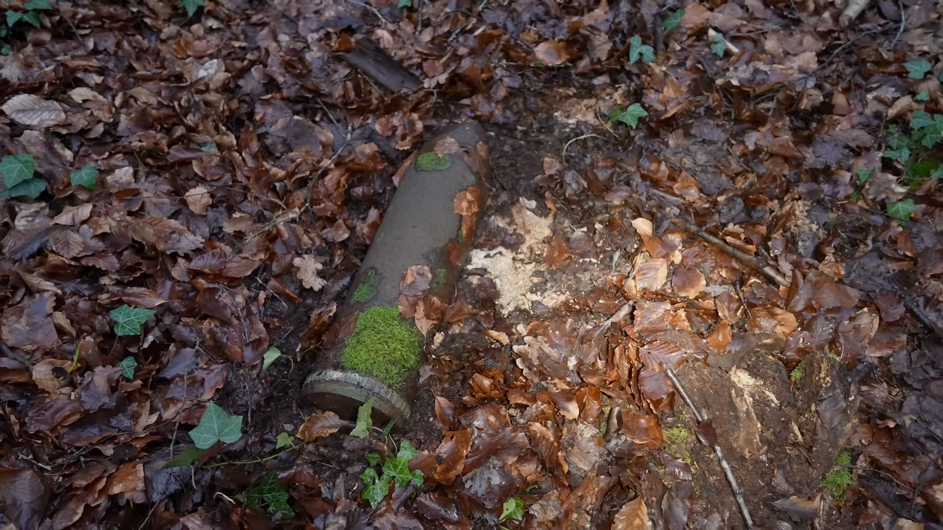 Verdun nach über 100 Jahren: 150-mm-Granaten liegen noch immer im Todeswald