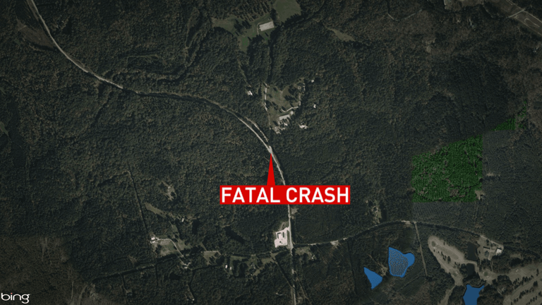 Coroner identifies victim in deer, tree collision