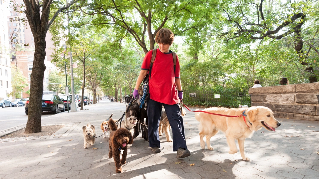 NYC engineer’s luxury dog-walking side hustle earns six figures