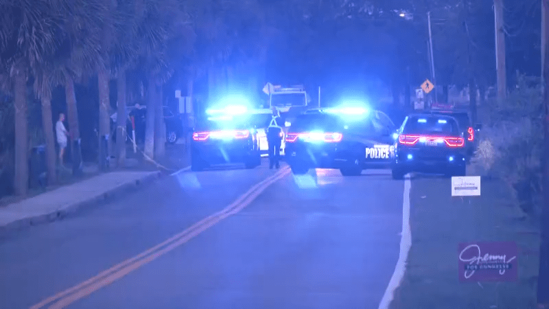 1 dead in auto-pedestrian crash on Bridge View Drive, police say
