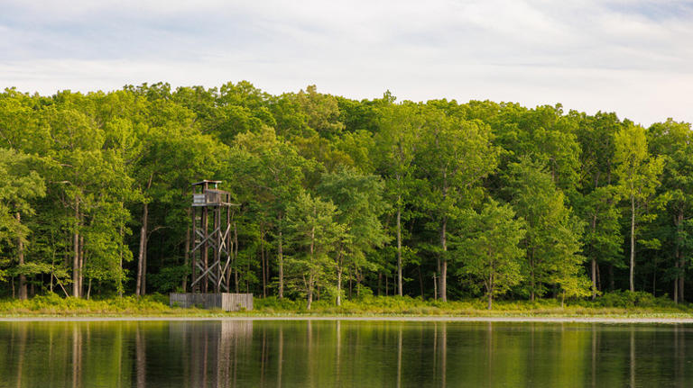 Sandwiched between Baltimore and DC is Maryland's tranquil forest for ...