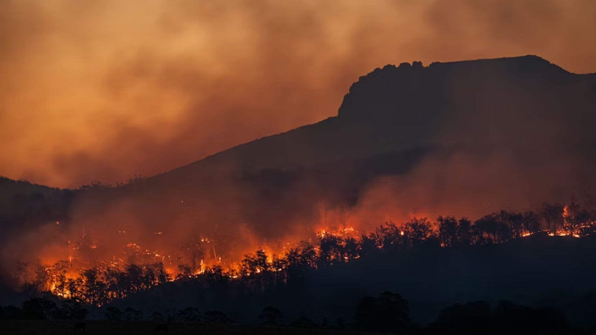 Molecular signatures reveal extent of ancient wildfires in Gondwana forests