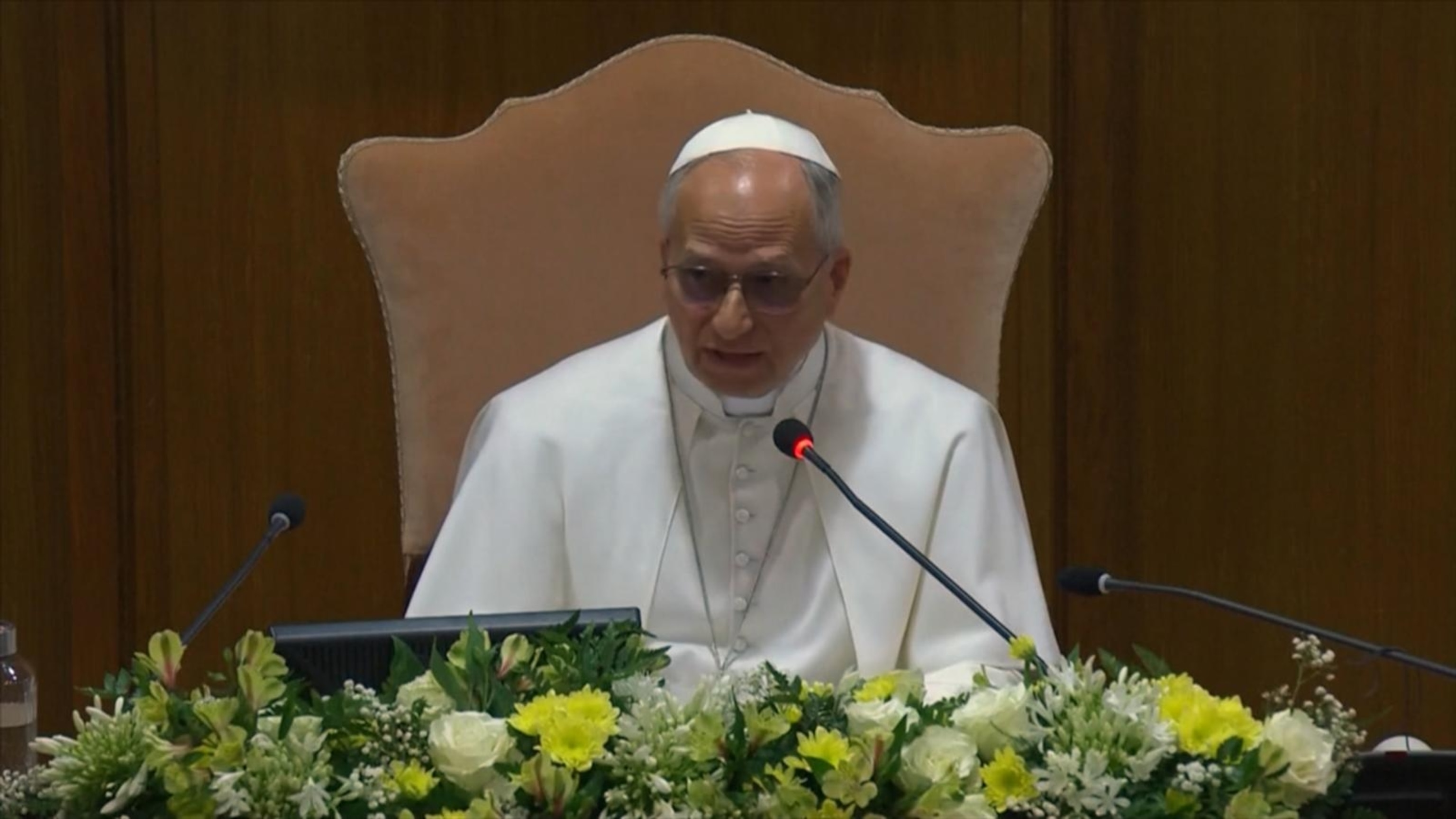 Pope warns AI 'needs to be disarmed'