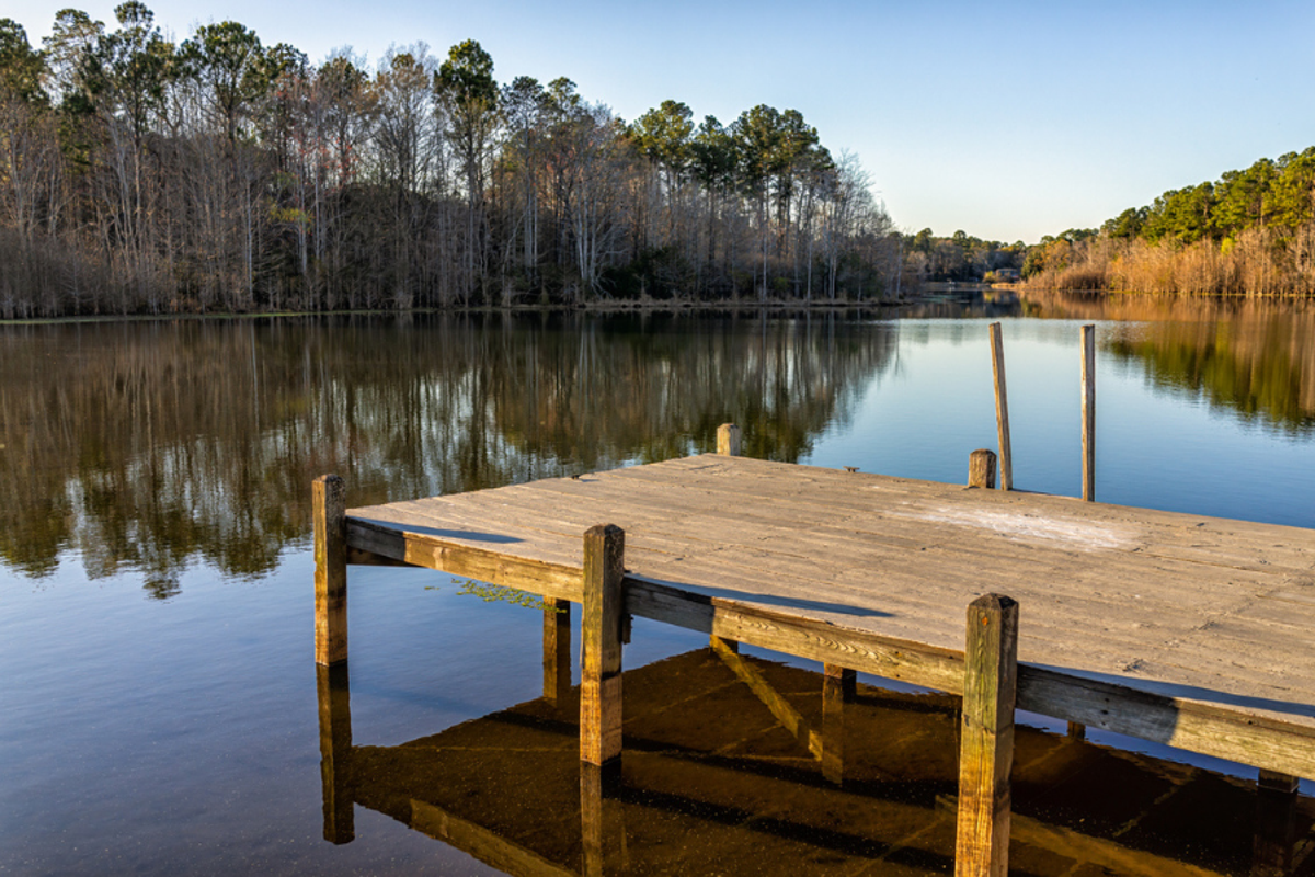 Dinner ends in tragedy after 'severe weather event' leaves woman dead