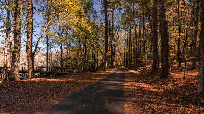 9 Texas places tourists keep missing but locals visit all the time