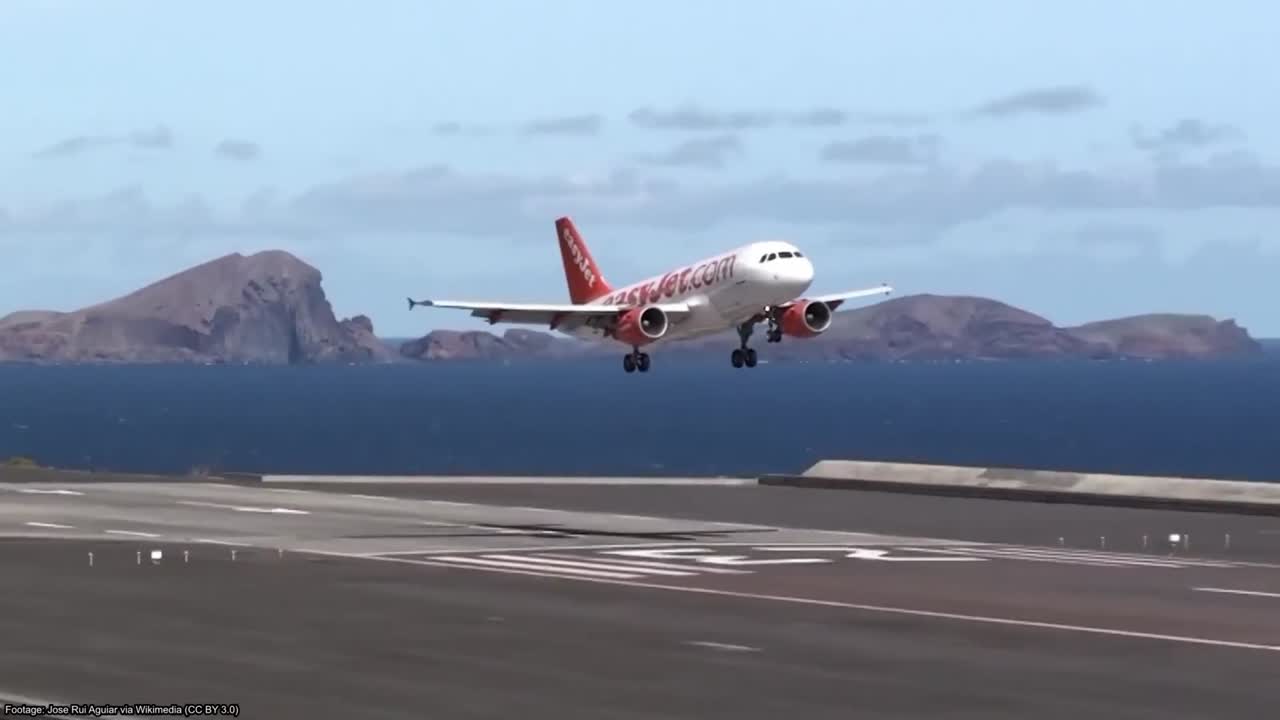 The crocodile escaped mid-flight – seconds later, the plane fell from ...