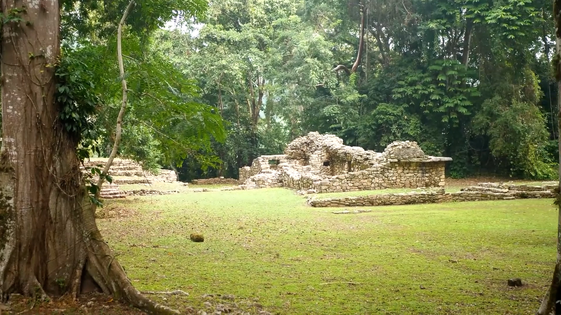 The abandoned Maya city hidden in the jungle