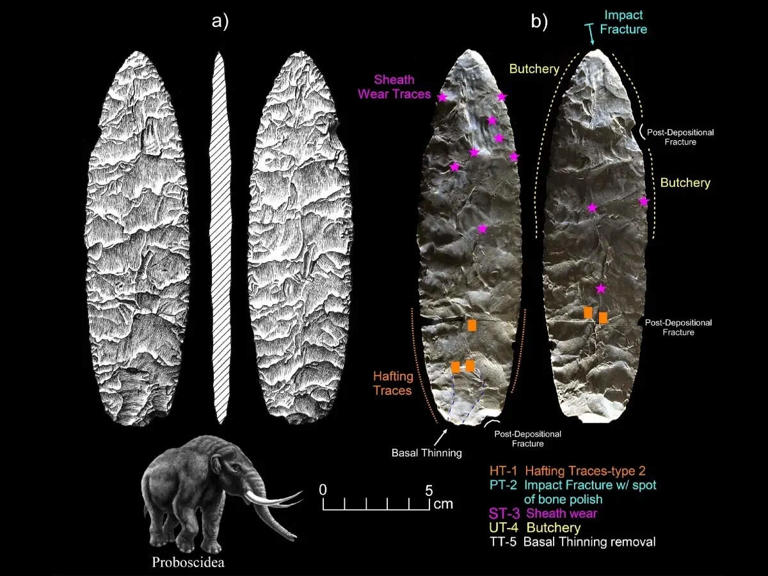 Scientists found rare microscopic Ice Age giant residues on ancient ...
