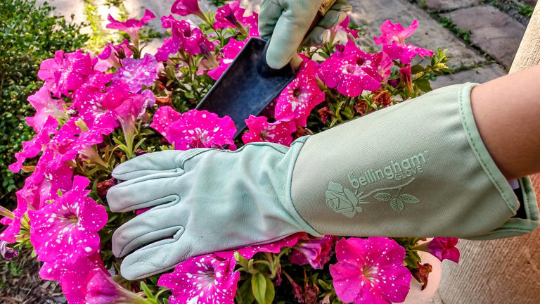 I tried the '70/30 rule' to bring my yard back to life this summer