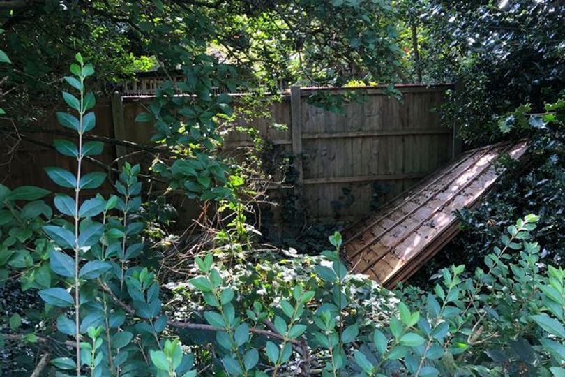 West Lothian tenants with 'overgrown and scruffy' gardens may be left ...