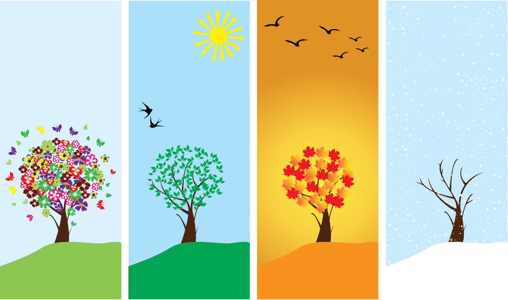 Habits to align your life with the seasons