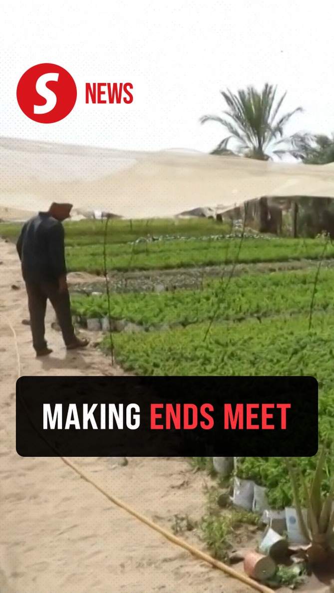 Gaza farmers turn to growing vegetables in recycled tin cans after ...
