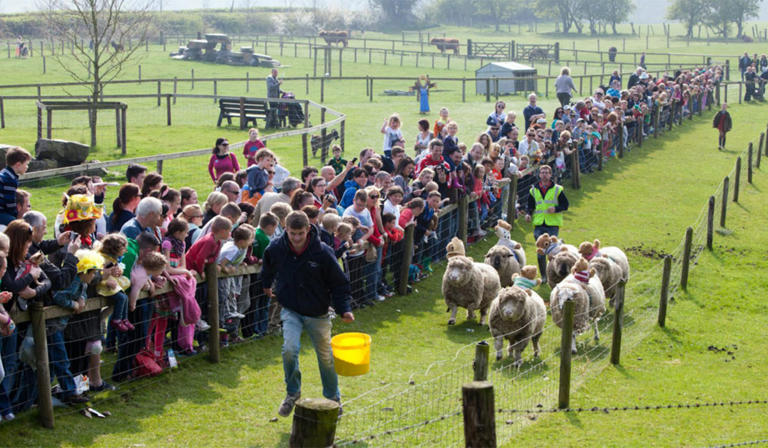 From Louth to Tipperary, discover 10 great family things to do