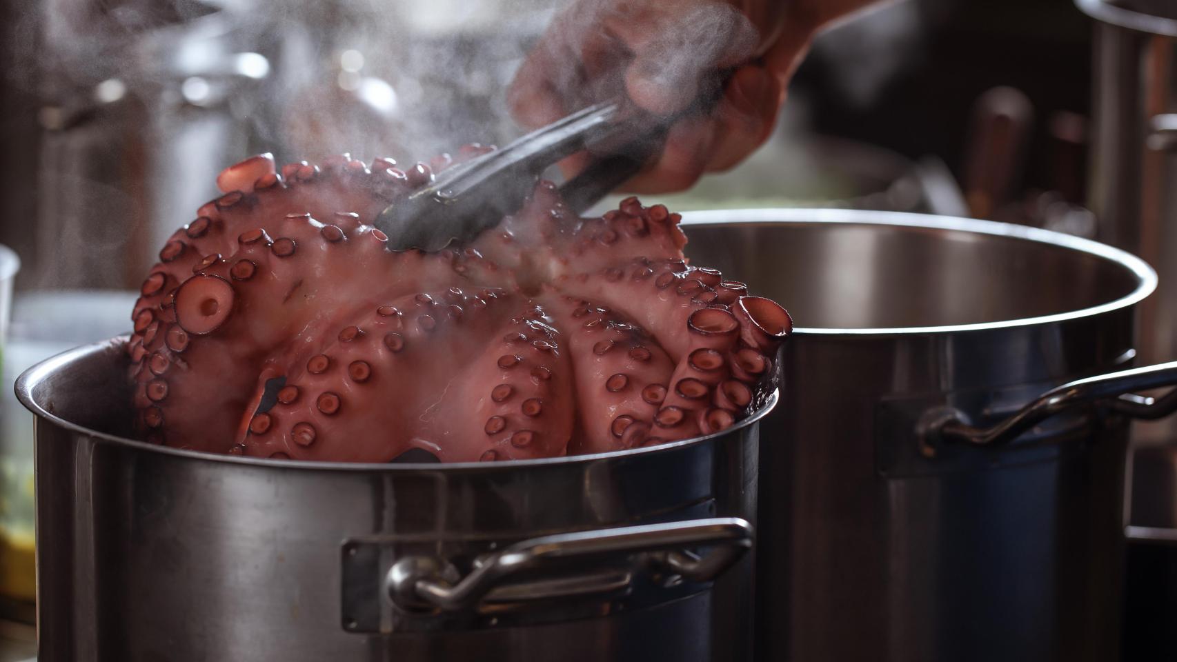 Los mejores chefs coinciden: la ensalada de pulpo no se hace con ...