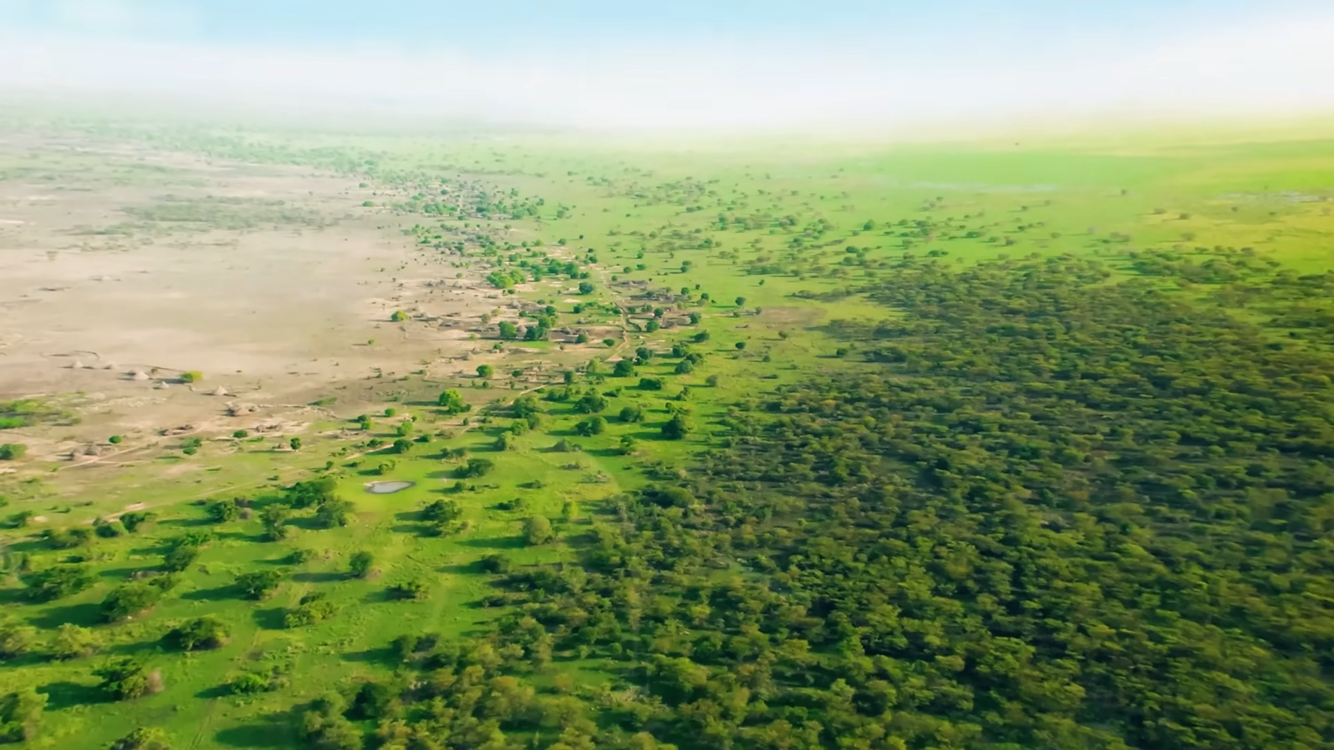 The Sahara is turning green again – but not the way people think