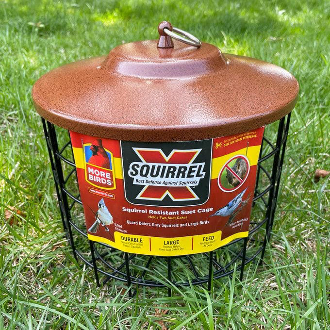 The best squirrel-proof bird feeders, plus 12 deterrent tips that ...