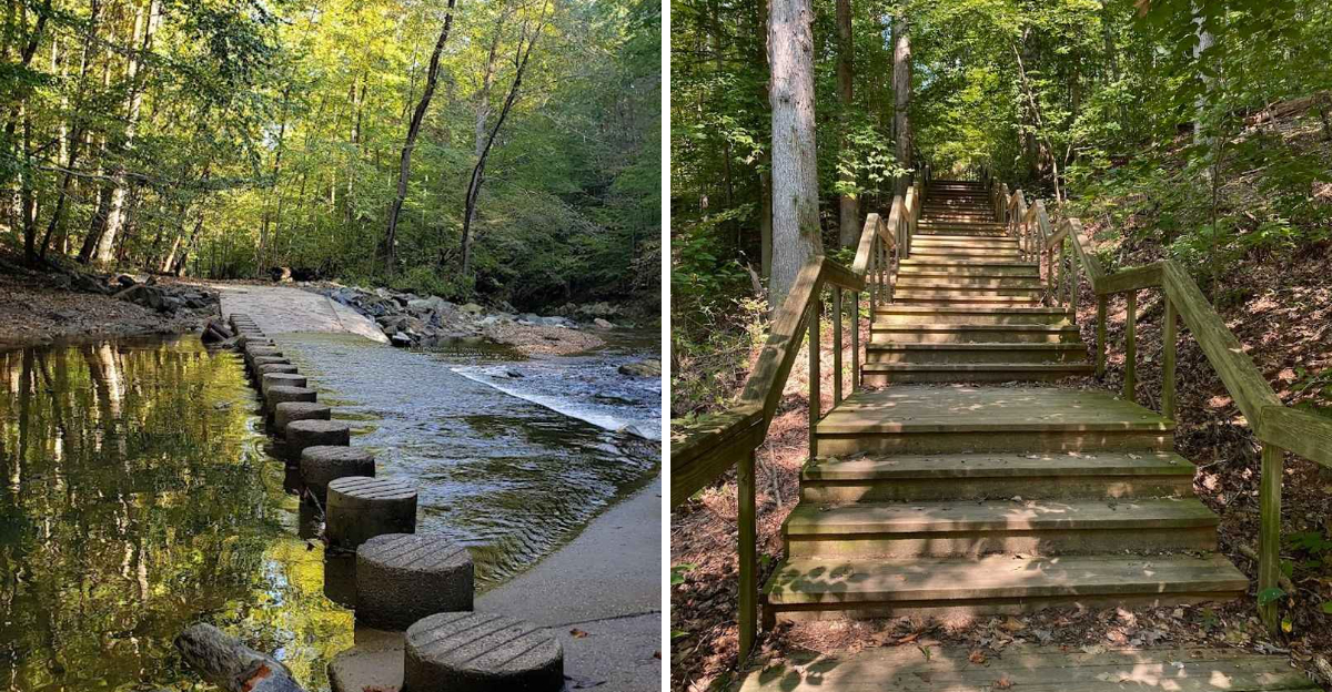 The gentle three-mile hike in Virginia that leads you right to a waterfall