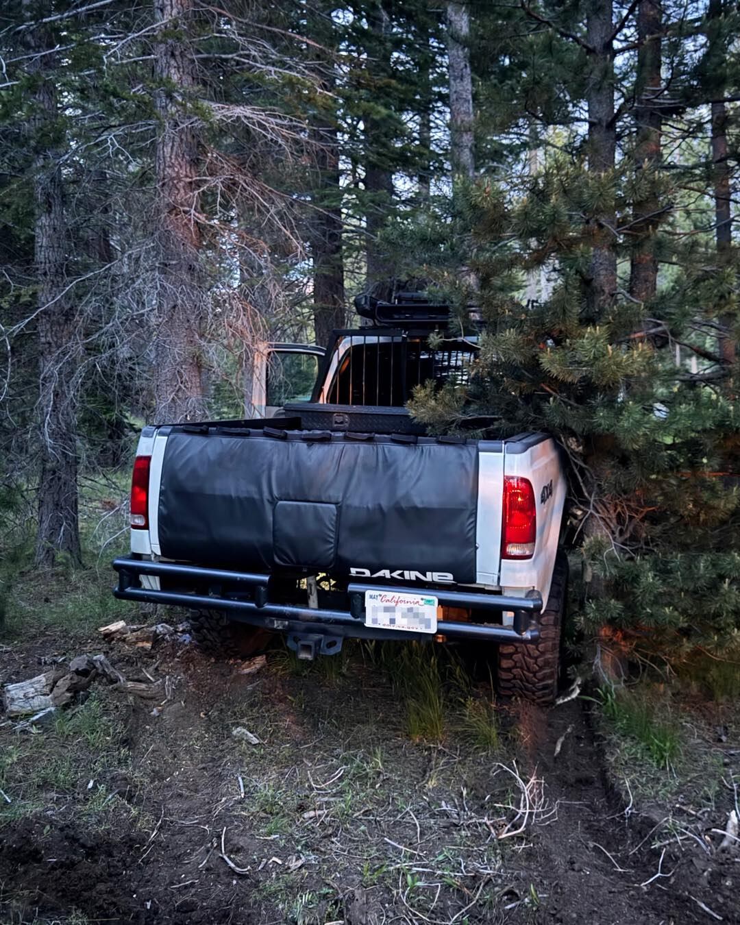 Man arrested for DUI in South Lake Tahoe
