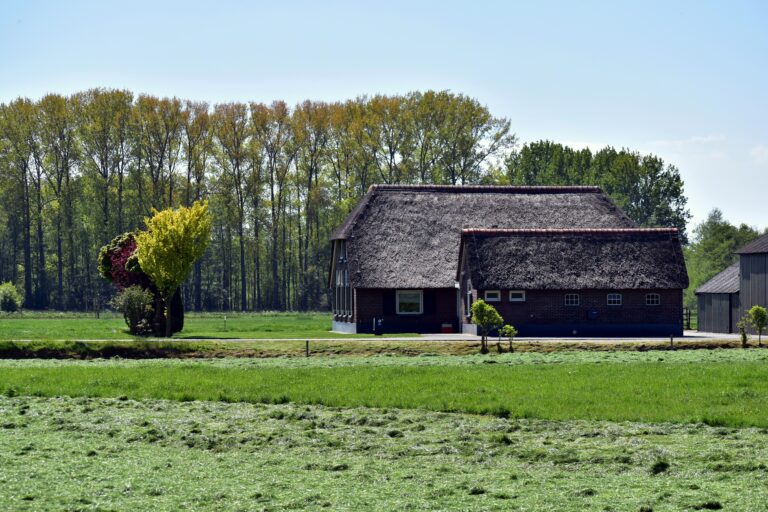 Megastallen groeien in Nederland terwijl kleine boerderijen verdwijnen