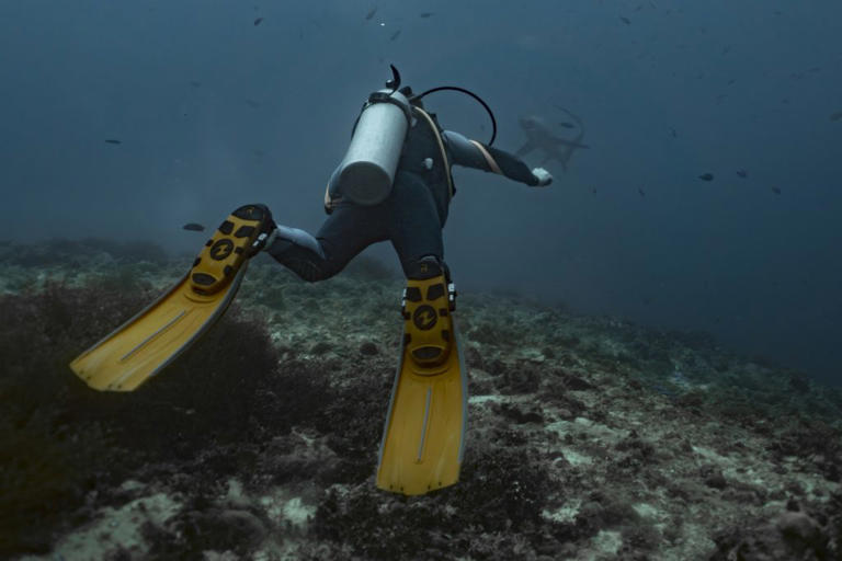 Scuba-diving tourists unwittingly destroying coral reefs