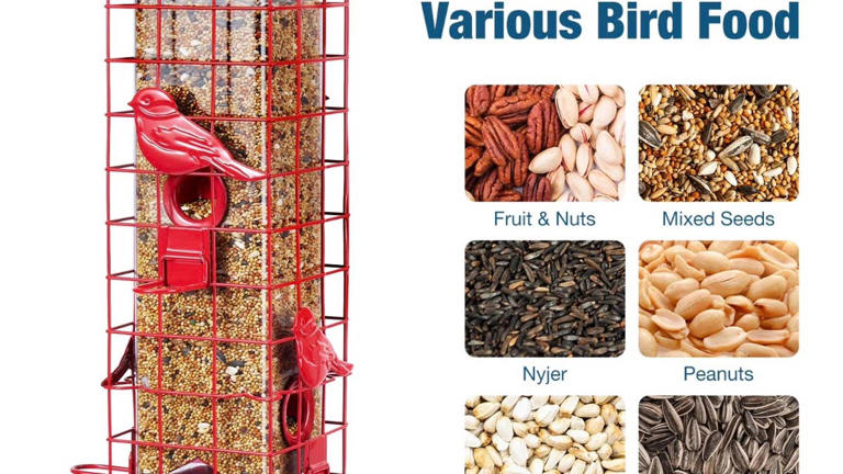 Walmart's bestselling squirrel-proof bird feeder really works, buyers say