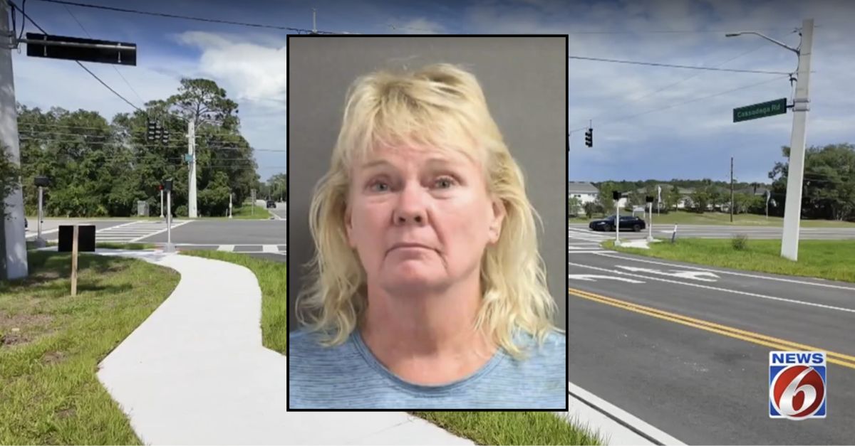 'Lucky I don't have my gun with me': Woman unloaded can of wasp spray ...
