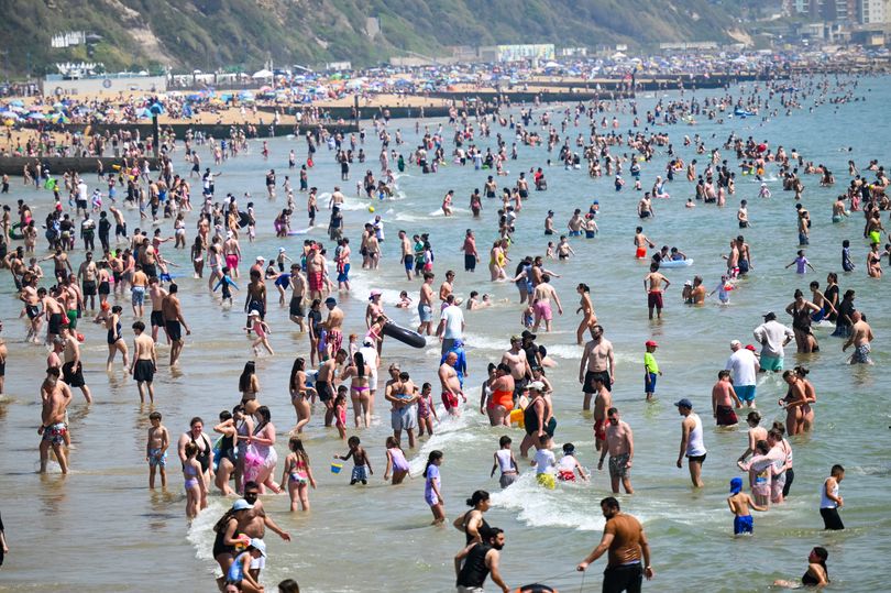 Sign in nature can predict if Scotland is in for a rainy summer ahead