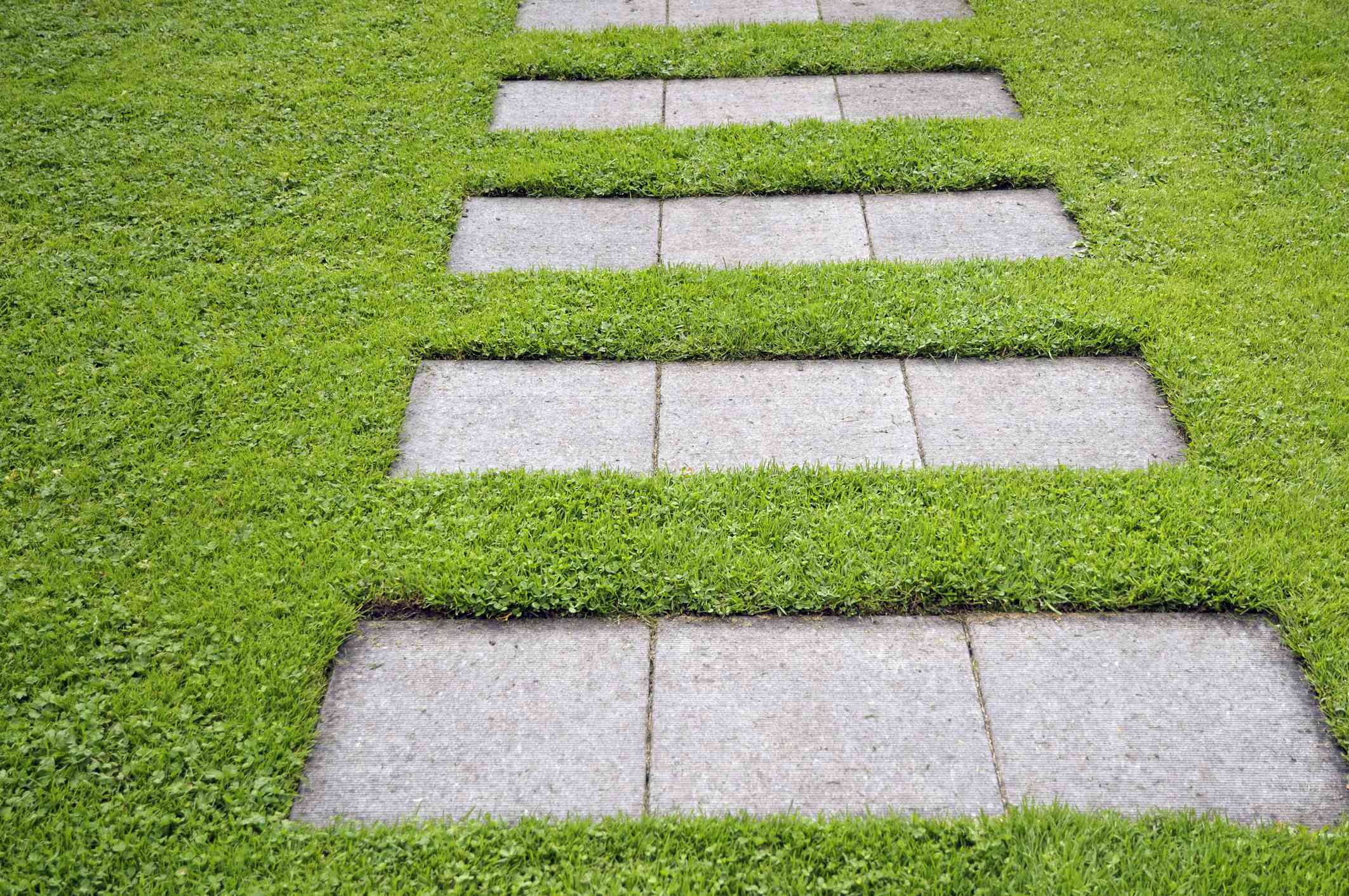 How to keep algae off your stepping stones
