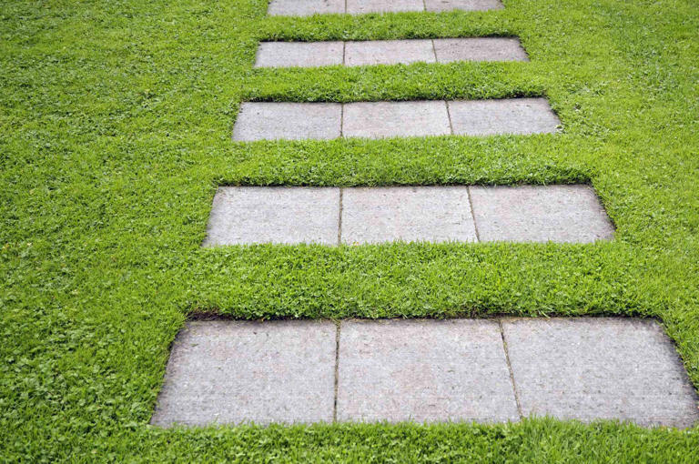 How to keep algae off your stepping stones